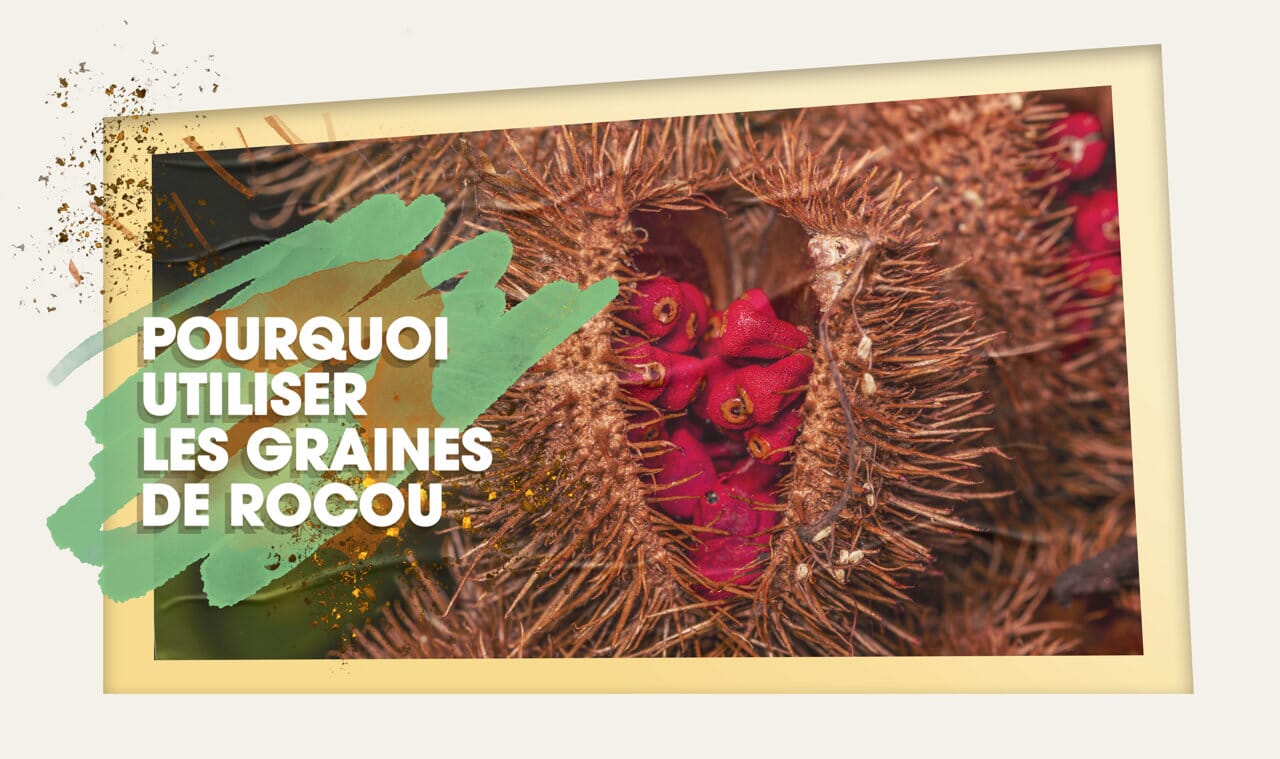 Pourquoi utiliser les graines de rocou | Manège épicé